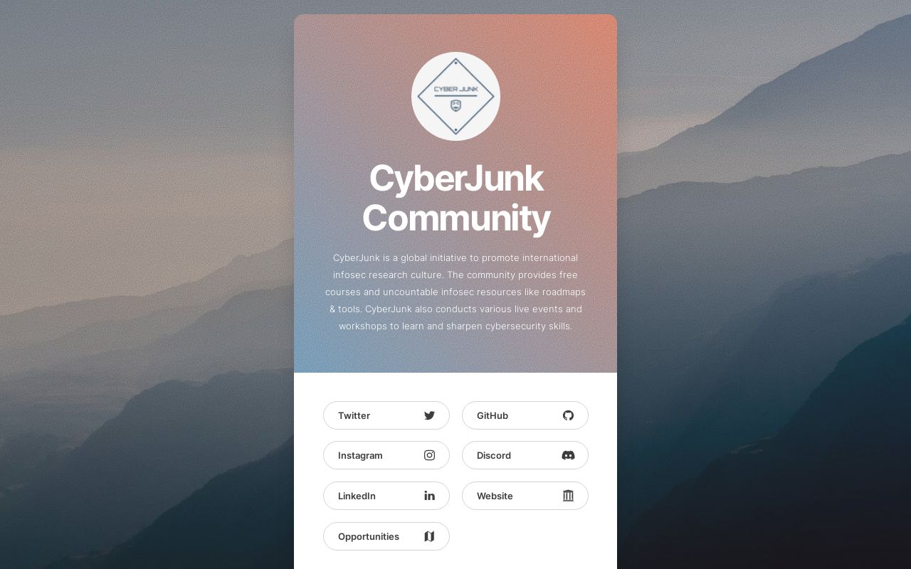 CyberJunk